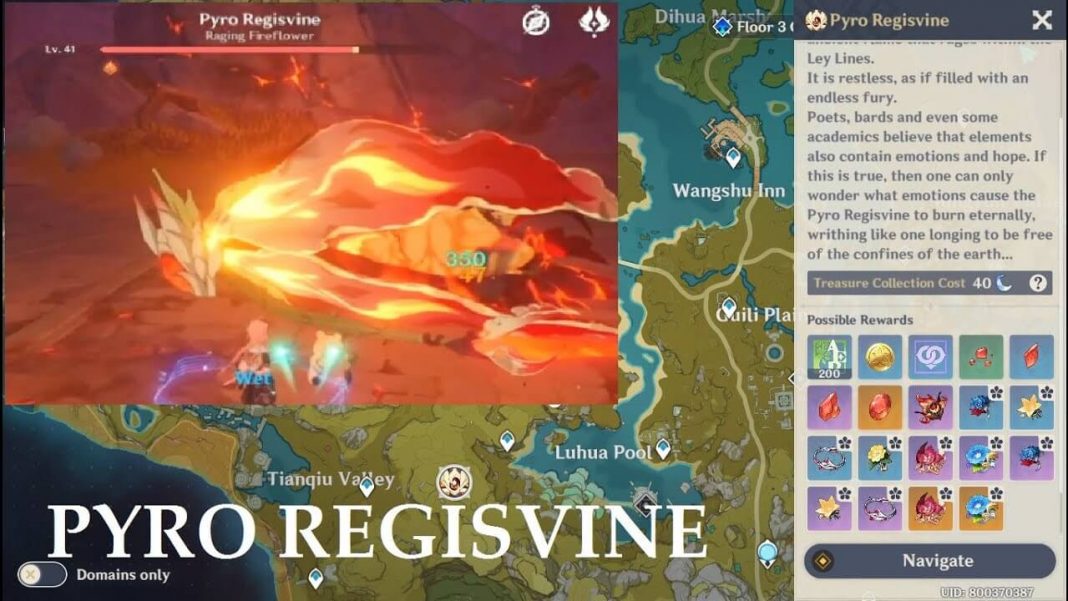 Genshin Impact: Let's Find The Elite Boss Of The Game - Pyro Regisvine ...